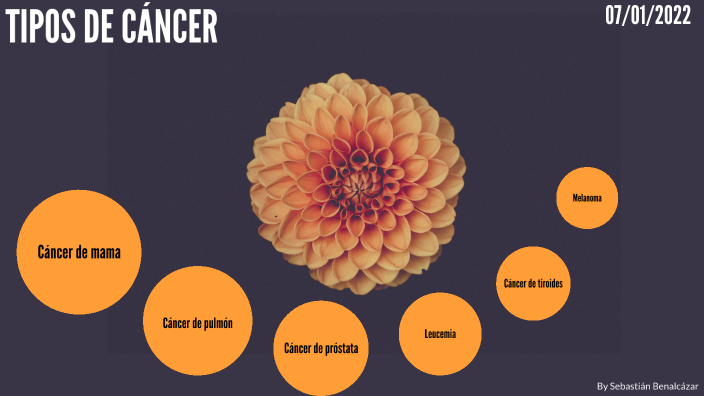 Tipos de Cancer más comunes by Sebastián Benlacázar on Prezi