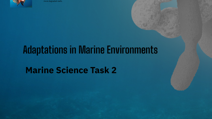 Adaptations in Marine Environments by mitch newton on Prezi