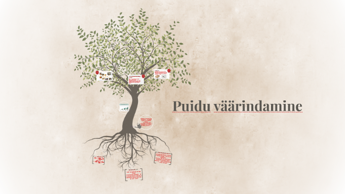Puidu väärindamine by Britta Sool on Prezi
