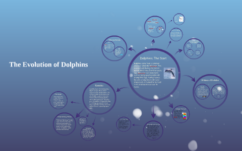 The Evolution of Dolphins by Adam Mansfield on Prezi