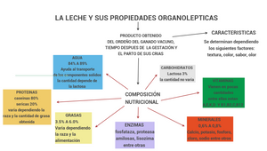 mapa conceptual leche by Vanessa Martínez Satizabal on Prezi Design