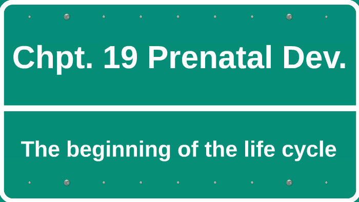 Chpt. 19 Prenatal Dev. by Tori Tharp on Prezi