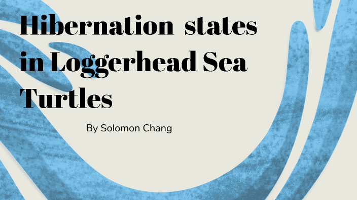 SIOB 278 by solomon chang on Prezi