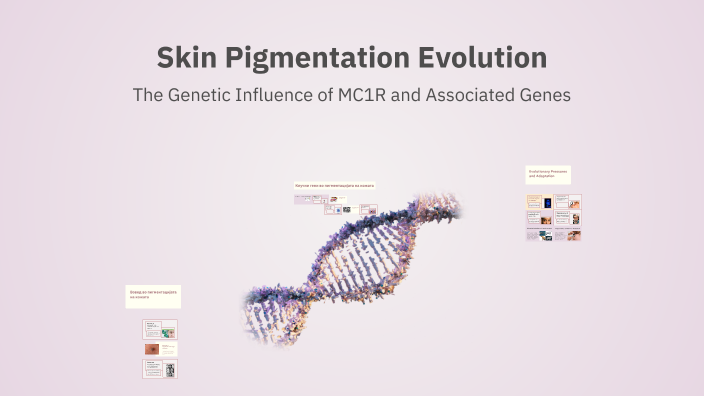 Skin Pigmentation Evolution by Nikola Apostolov on Prezi