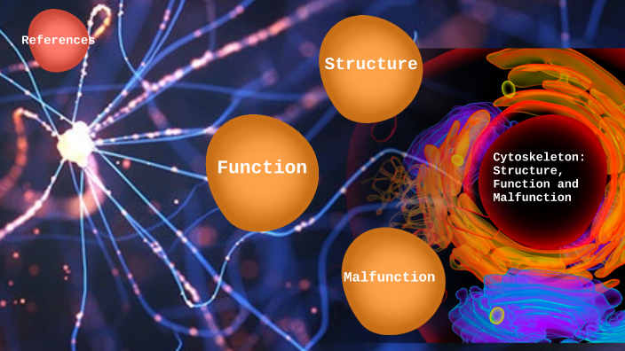 Cytoskeleton - Structure, Function and Malfunction by Olivia Marsh ...