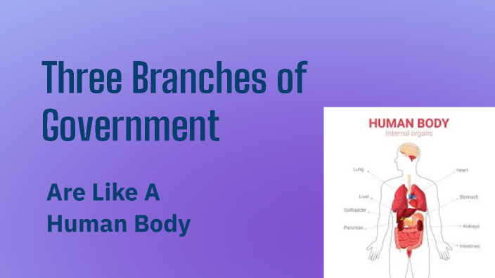 The Three Branches of Government are like a Human Body by Alexander Lor ...