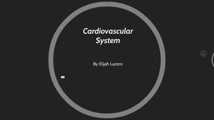 Cardiovascular System by Elijah Lucero