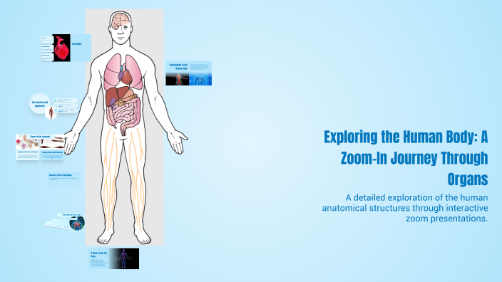 Exploring the Human Body: A Zoom-In Journey Through Organs by Nea ...