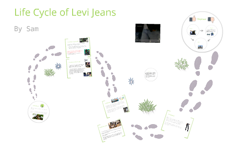 Life Cycle of Levi Jeans by Ruckkit Kitsomsub on Prezi