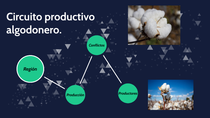 Circuito Productivo Del Algodón By Guillermina Polletta On Prezi