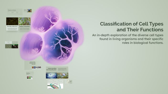 Classification of Cell Types and Their Functions by Shaun Murphy on Prezi