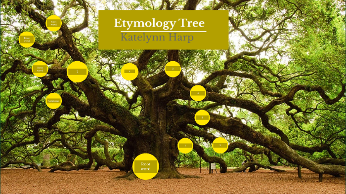 Etymology Tree by Katelynn Harp on Prezi