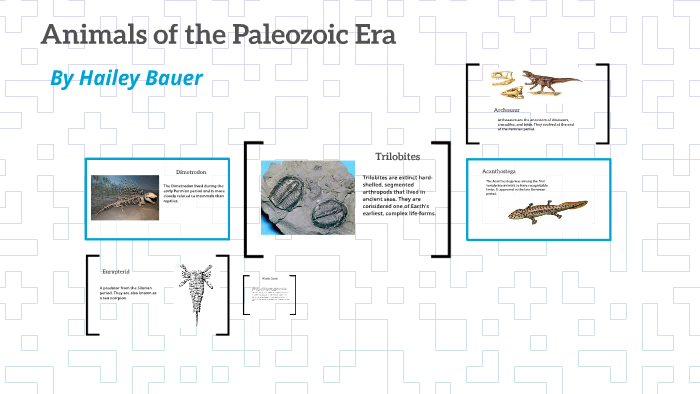 Animals of the Palozoic Era by Hailey Bauer