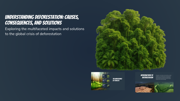 Understanding Deforestation: Causes, Consequences, and Solutions by ...