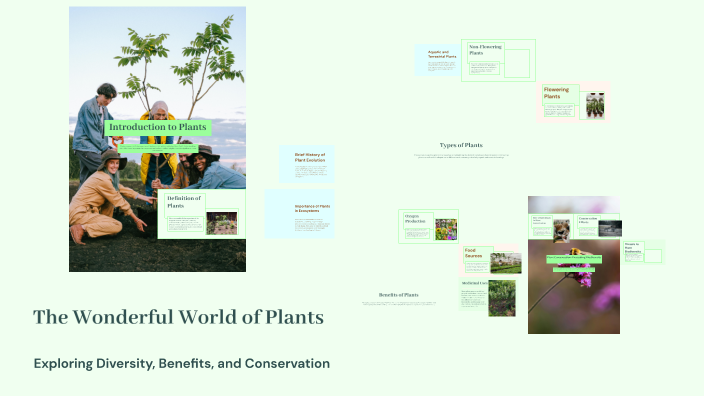 The Fascinating World of Plants by anitra tolbert on Prezi