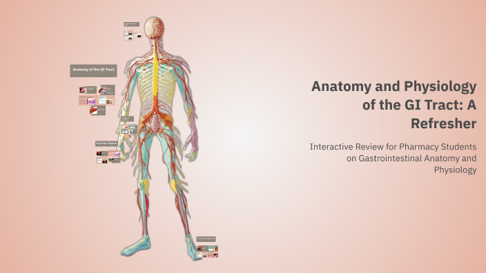 Anatomy and Physiology of the GI Tract: A Refresher by Noa Valcarcel on ...