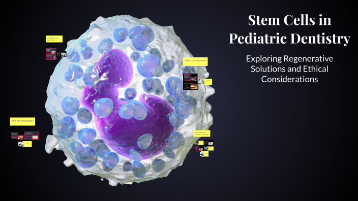 Stem Cells in Pediatric Dentistry by Serene Joy on Prezi