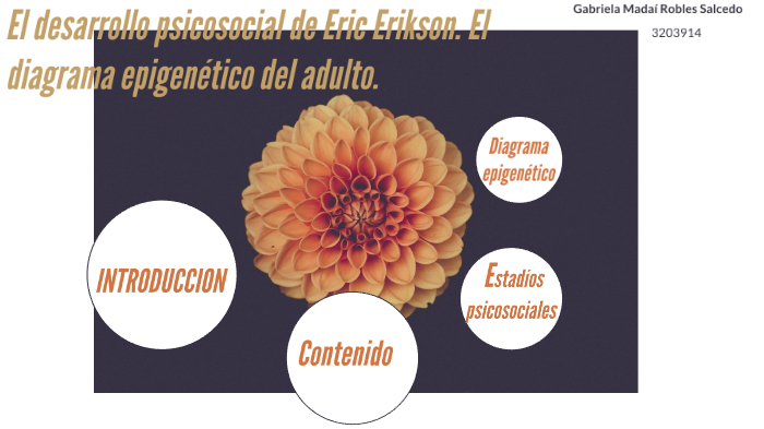 El desarrollo psicosocial de Eric Erikson. El diagrama epigenético del ...