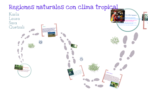 regiones naturales de clima tropical by Maria del Pilar Jiménez ...