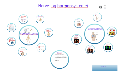 Nerve- og hormonsystemet by Stine Madsen on Prezi