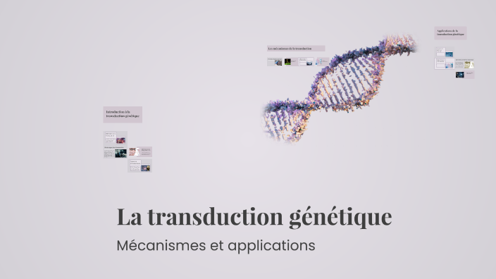 La transduction génétique by lila lila on Prezi