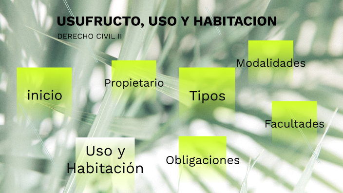 USUFRUCTO, USO Y HABITACIÓN by PAOLA CONCEPCION OLIVARES AVILES on Prezi