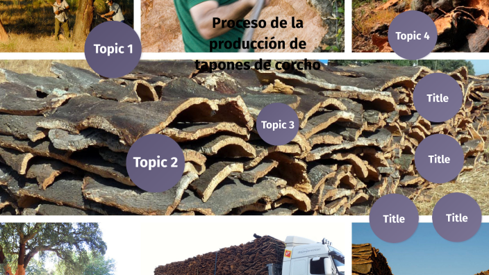 Proceso de elaboración de los tapones de corcho by david langarita ...