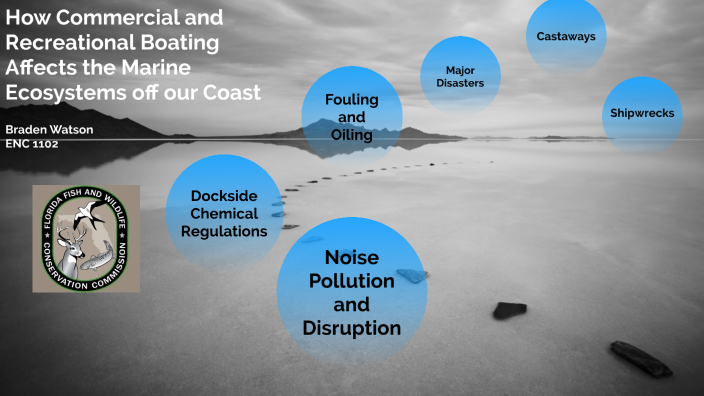 The effects of pollution on the Marine Environments due to Commercial ...