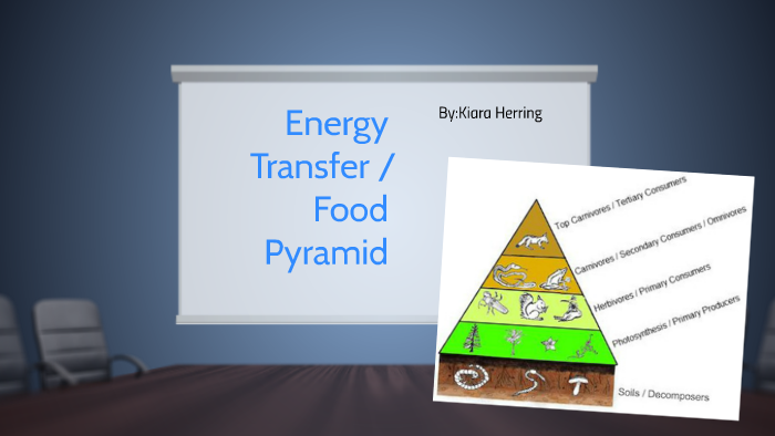 Energy Transfer /Food Pyramid by kiara herring on Prezi