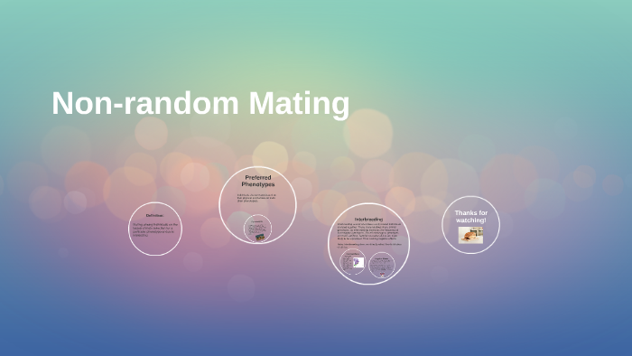 Non-random mating by Mena Rimac on Prezi