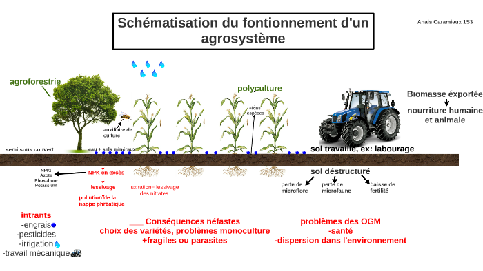 Schématisation du fonctionnement d'un agrosystème by anais Caramiaux on ...