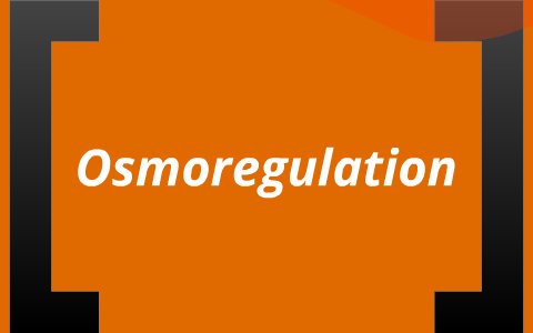 Osmoregualation and Stenohaline animals by Drew McGee on Prezi
