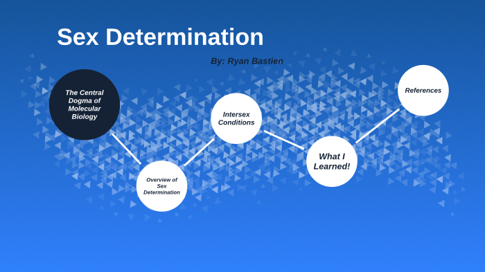 Sex Determination, Bio Project 1 by Ryan Bastien on Prezi