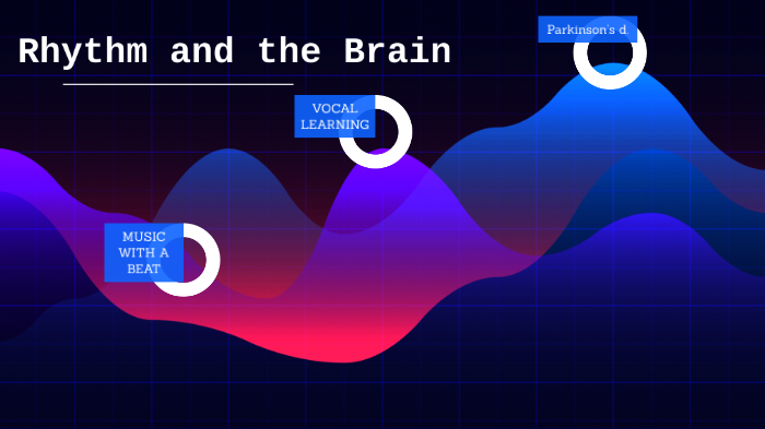 How Rhythm affects the Brain by Djordje Stefanovic on Prezi