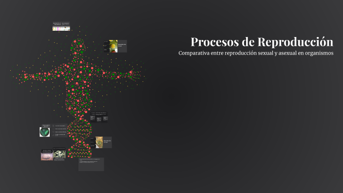 Procesos de Reproducción by Fernando on Prezi