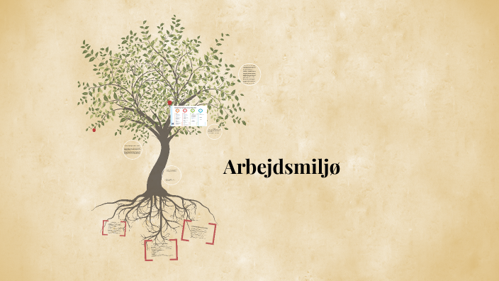 Arbejdsmiljøorganisation by Mariam Abed on Prezi