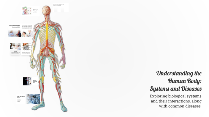 Understanding the Human Body: Systems and Diseases by Romana Bakhtyari ...
