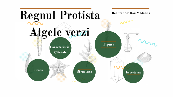 Regnul Protista Algele verzi by Mădălina R. on Prezi