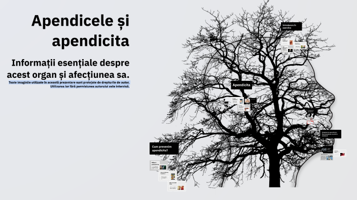Apendicele și apendicita by Pop Ezra on Prezi