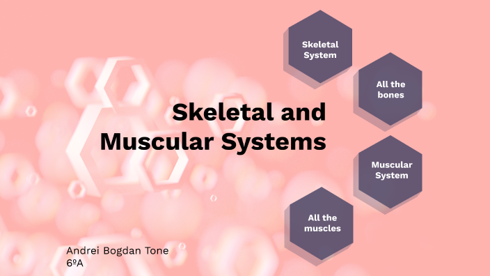 The Skeletal and Muscular System by Andrei Tone on Prezi