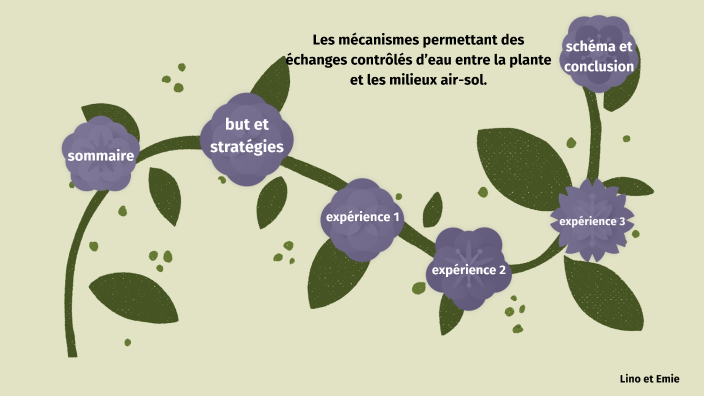 tp svt by emie jacques on Prezi