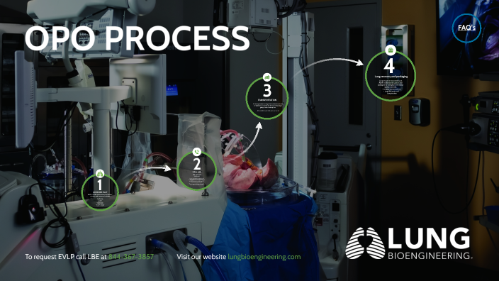 OPO PROCESS by Jee Lee-Longo on Prezi