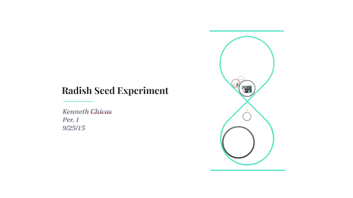 Radish Seed Experiment by Kenneth Chicas on Prezi