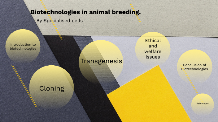 Biotechnology in animal breeding by 00035548, 00027109, 00027650 ...
