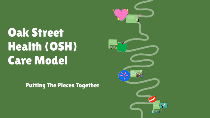 OSH Care Model by Harold Kepler on Prezi