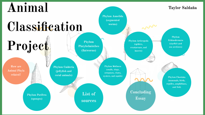 Animal Classification Project by T S on Prezi