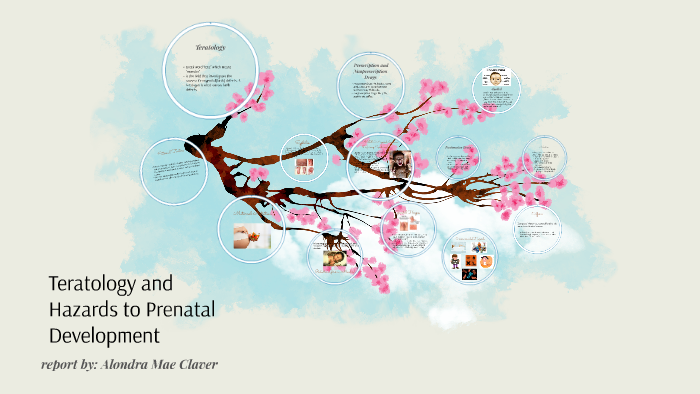 Teratology and Hazards to Prenatal Development by alondra claver on Prezi