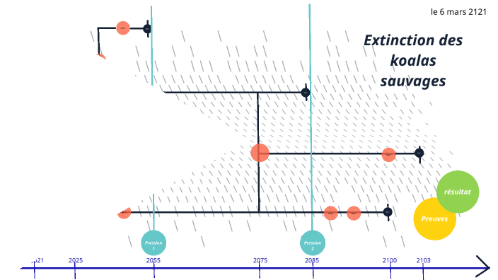 evolution des koalas by Gabrielle Lemay élève on Prezi