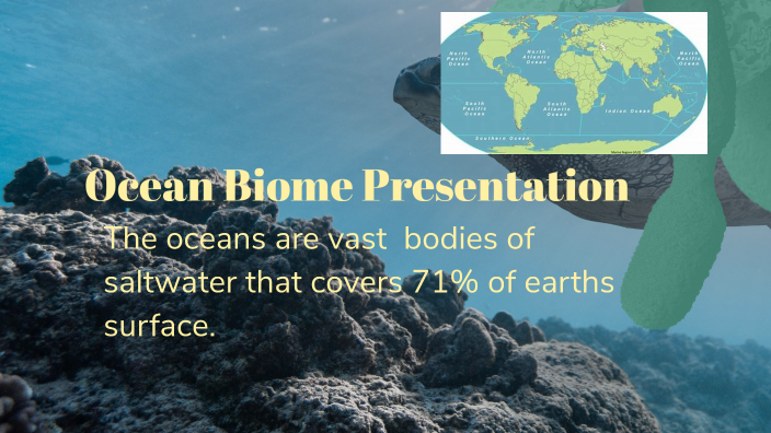 Ocean Biomes by Chyna Robinson on Prezi