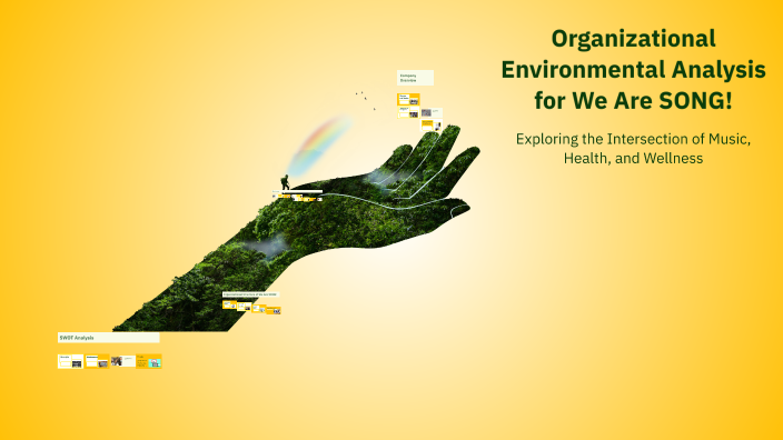 Organizational Environmental Analysis for We Are SONG! by Kopano Mohapi ...